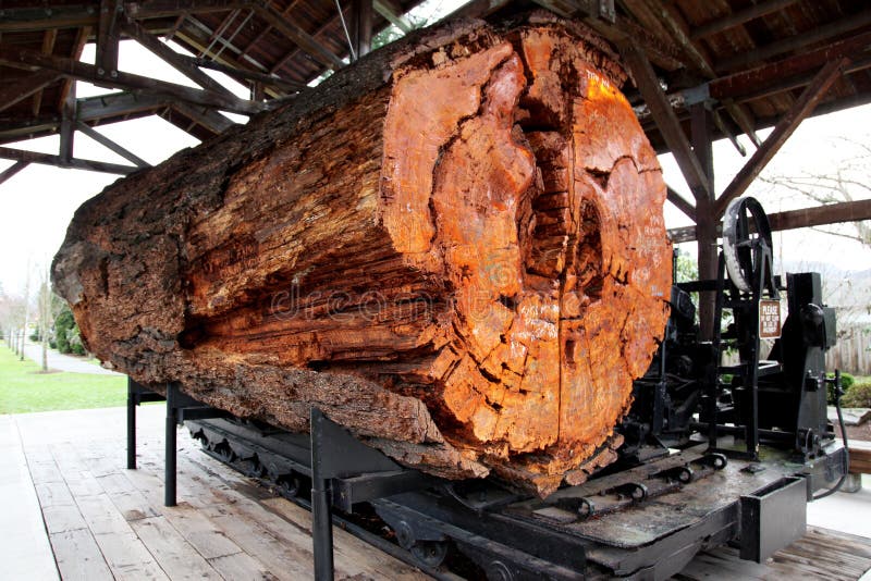 Big log at Snoqualmie stock photo. Image of wood, washington - 11692266