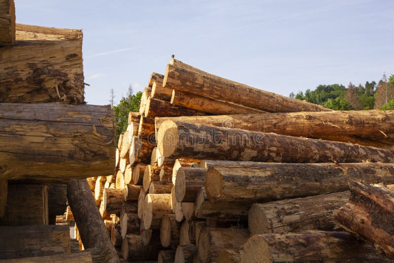 Big logs stock image. Image of energy, firewood, pine - 168374549