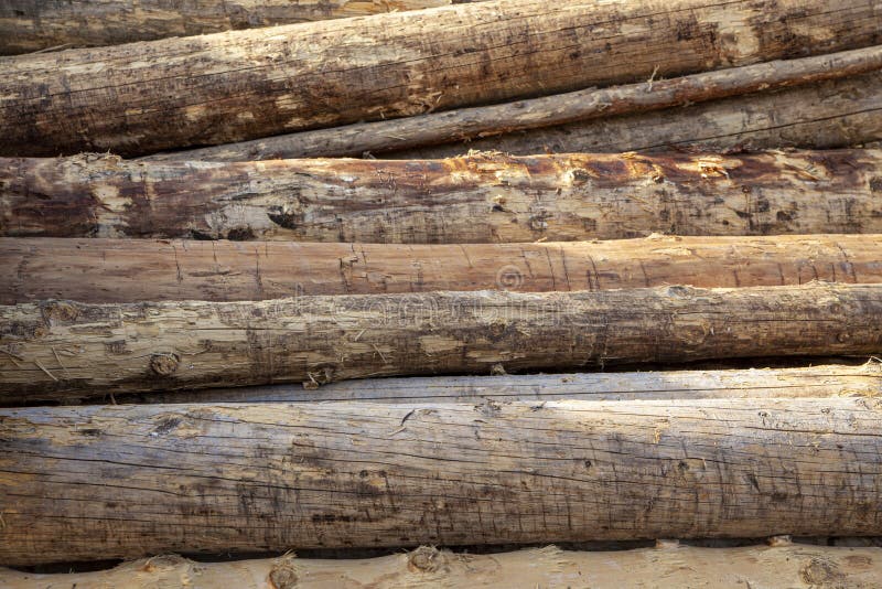 Big logs stock image. Image of energy, firewood, pine - 168374549