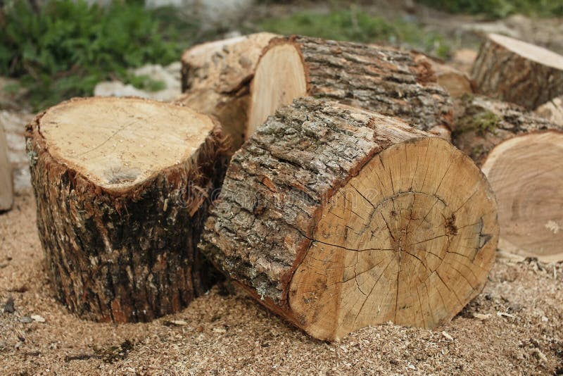 Big logs stock image. Image of piled, firewood, heating - 145604313