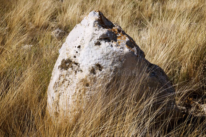 Big Lonely Stone Lies in the Green Grass Stock Photo - Image of closeup ...