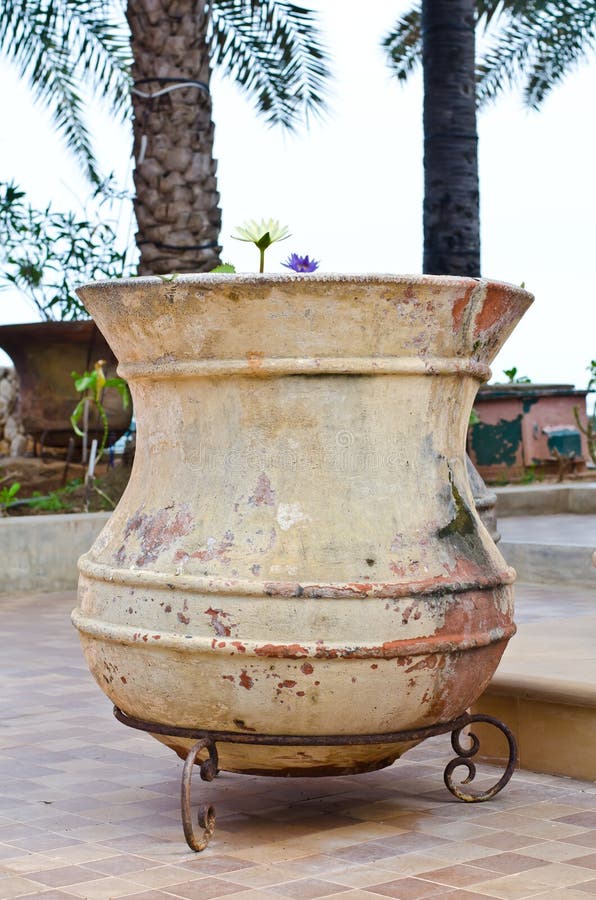 Big lotus pot stock photo. Image of garden, isolated - 24075000