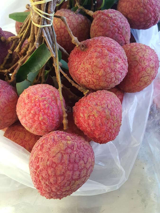 Lychee fruits stock image. Image of fruit, cuisine, eating - 25093637