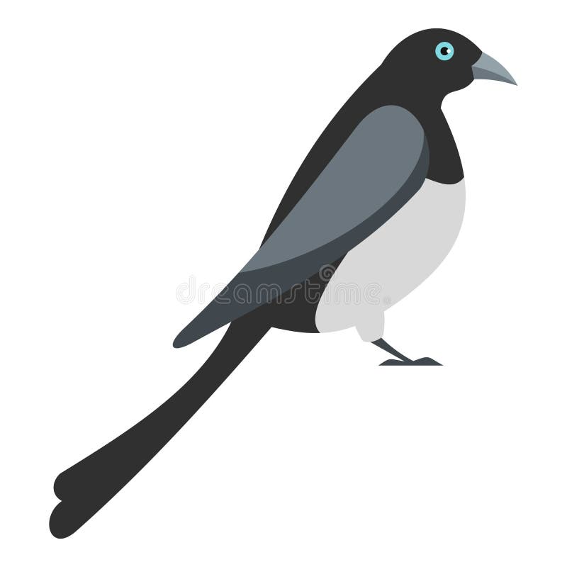 Big Magpie Icon, Flat Style Stock Vector - Illustration of flycatcher ...