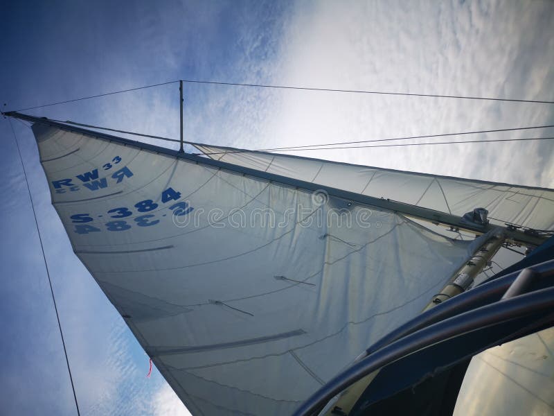A sail in the wind stock photo. Image of team, horizon - 116426766