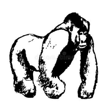 Graphic Primate Stock Illustrations – 13,510 Graphic Primate Stock ...