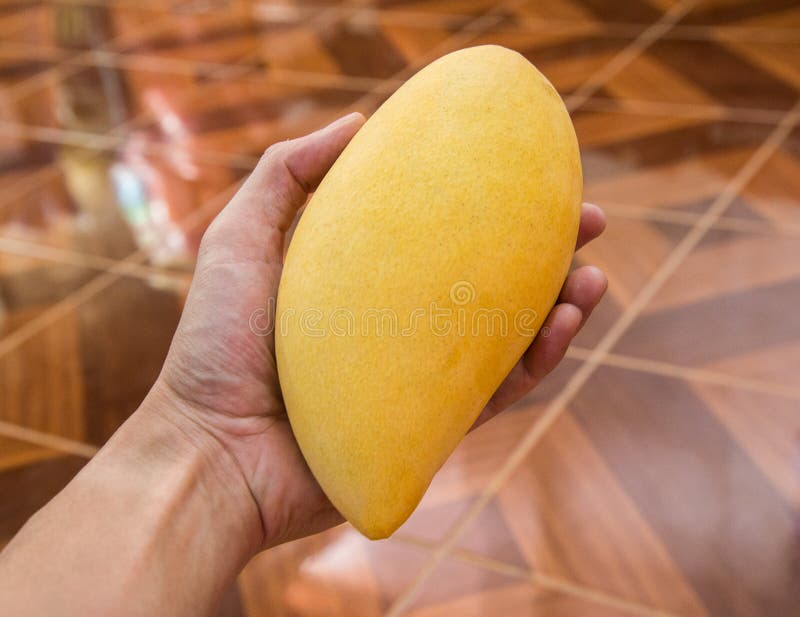 The big Mango stock photo. Image of snack, mint, freshness - 68148406