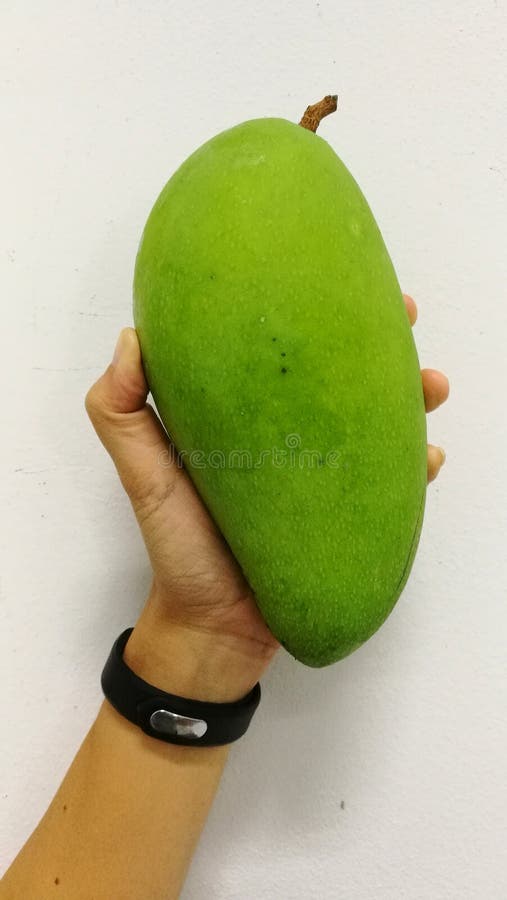 Big Mango Thailand Fruits Stock Photos - Free & Royalty-Free Stock ...