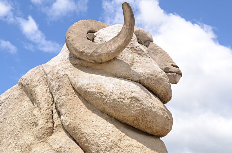 The Big Merino stock image. Image of blue, country, sheep - 71498621