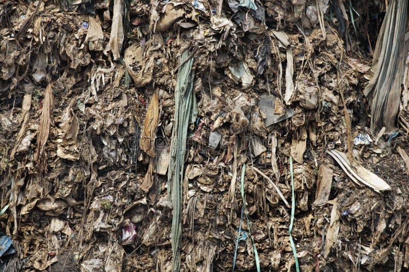 Trash and midden stock photo. Image of urban, green, plant - 64021518