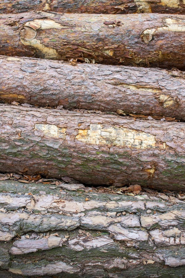 Big Monumental Pile / Stack of Wood Logs Stock Photo - Image of ...
