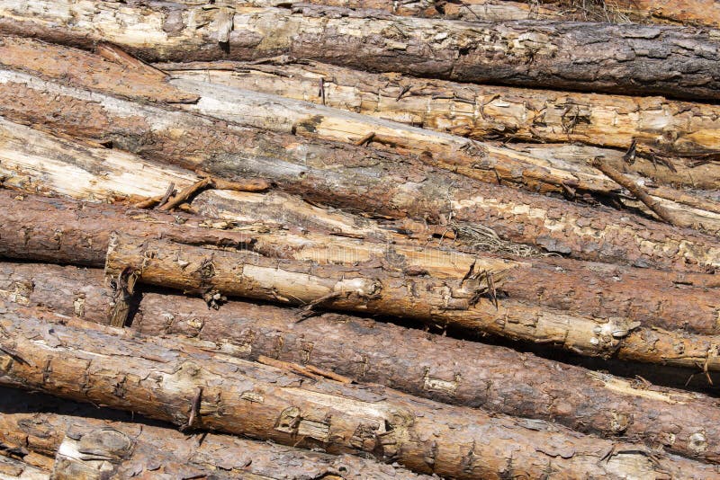 Big Monumental Pile / Stack of Wood Logs Stock Image - Image of grunge ...