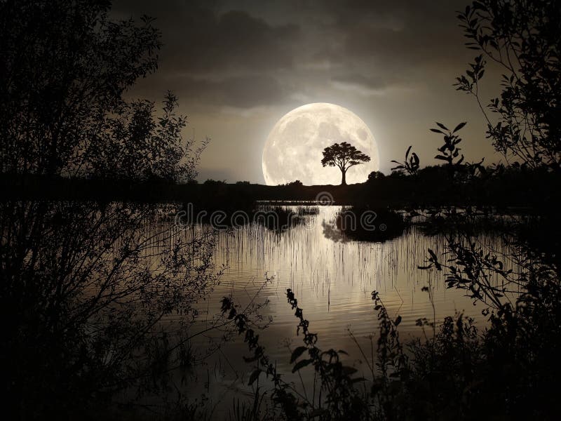 Crocus & Surreal Moonscape Stock Image - Image of calm, design: 8993255