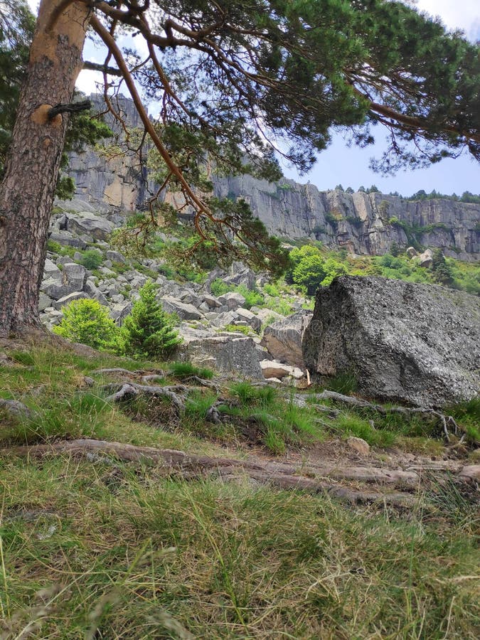 Big Mountain with Trees and Rocks Stock Image - Image of nature, trees ...