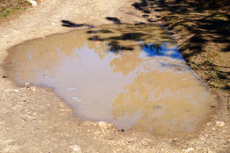 Big Muddy Puddle on a Dirt Road in Spring Stock Photo - Image of ...