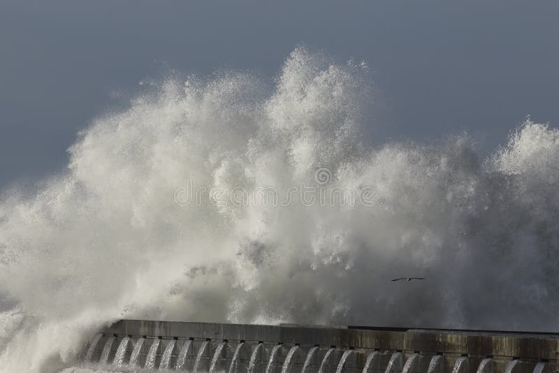Detailed huge wave splash stock photo. Image of closeup - 168693370