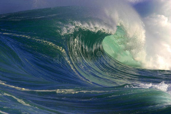 Big Ocean Wave in Hawaii stock photo. Image of pacific - 8890664