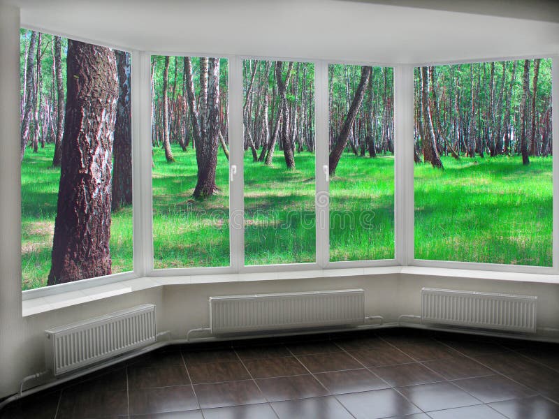 Big Office Panoramic Windows with View To Birch Grove Stock Image ...