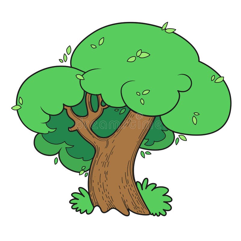 Big Old Deciduous Tree Linear Drawing for Coloring Isolated on White ...