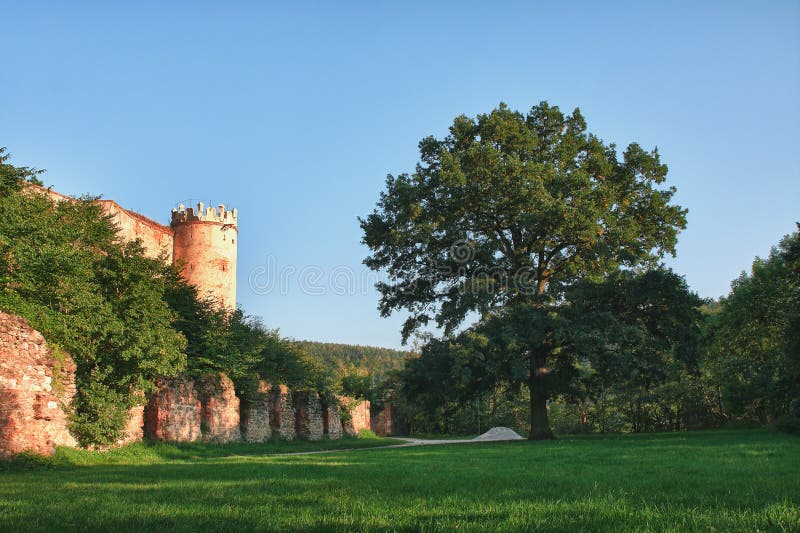 Big Old Oak Tree and Castle Ruins Stock Image - Image of bright ...