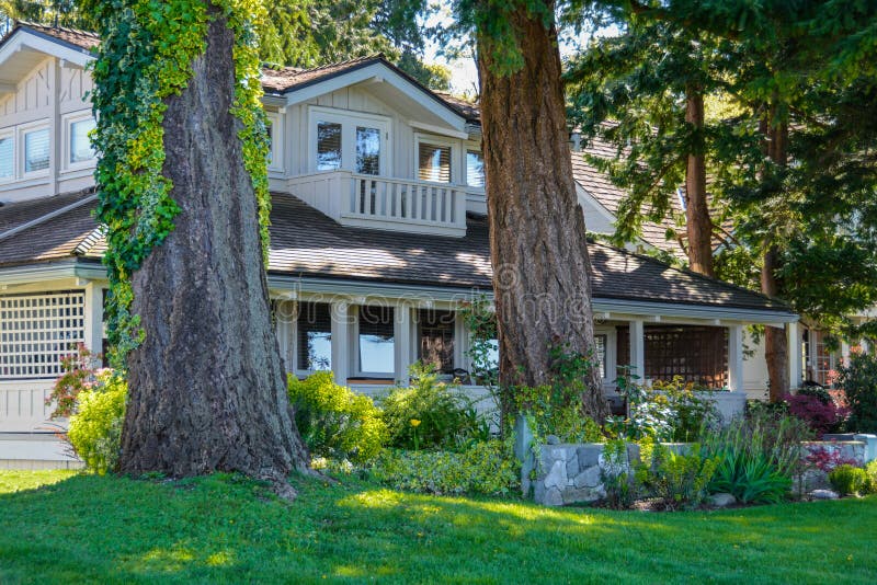 Big Old Residential House with Big Tree Stems in Front. Stock Photo ...