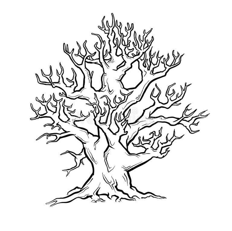 Old Oak Tree Drawing Stock Illustrations – 4,991 Old Oak Tree Drawing ...
