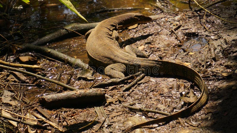 100 Sunset Kuta Hotel Stock Photos - Free & Royalty-Free Stock Photos ...