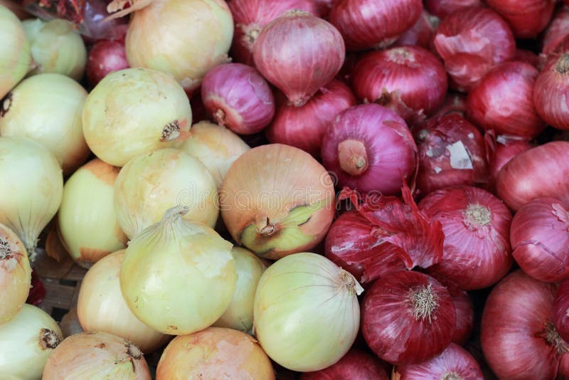 Big Onion with Red Onion in the Market Stock Photo - Image of cuisine ...