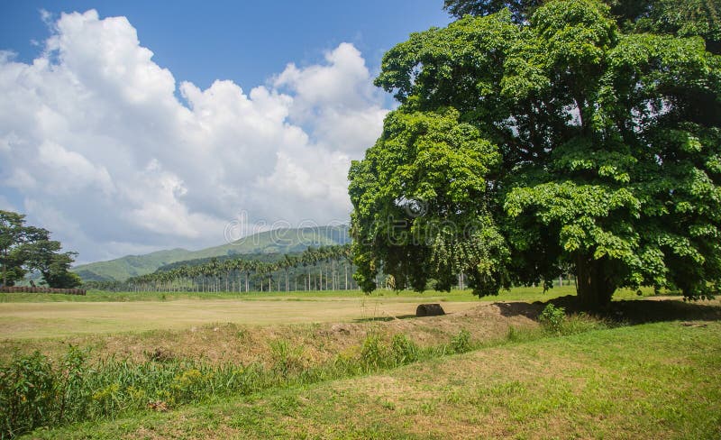 Big open field stock photo. Image of open, shadow, peaceful - 83338266