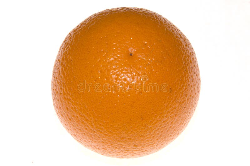 Big orange stock image. Image of white, pink, taste, orange - 12404633