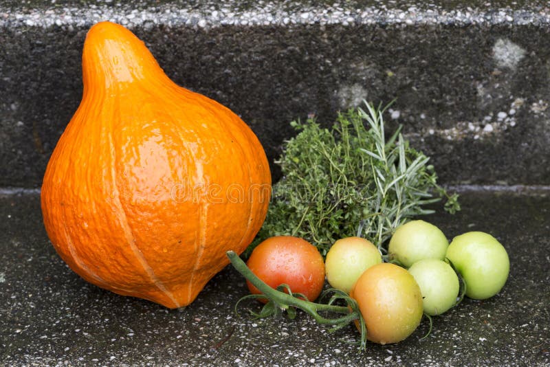 Big Orange Pumpkin with Vegetables and Spicy Stock Photo - Image of ...