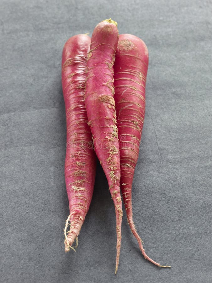 Big organic radishes stock photo. Image of style, vegetable - 23705940