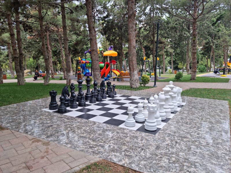Big Outdoor Chess Set at the Park. Stock Photo - Image of objects ...