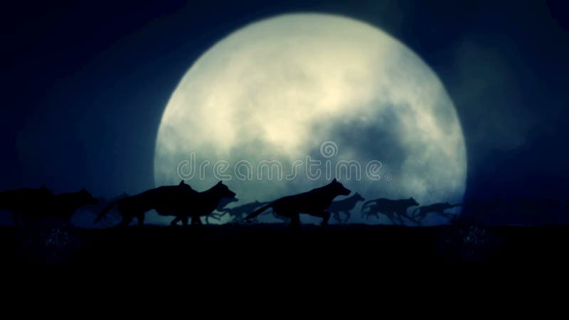 Wolves pack with moon stock image. Image of full, howling - 10652971