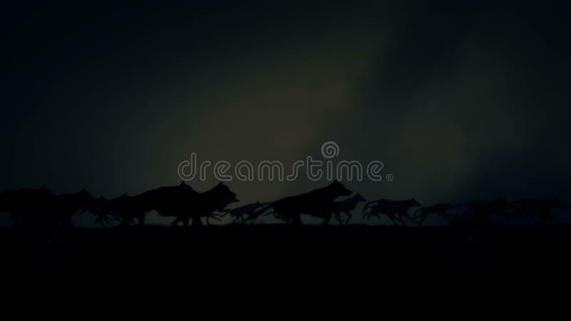 Big Pack of Wolves Running through a Lightning Storm Stock Video ...
