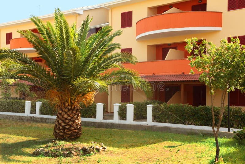 Big Palm Tree Growing Near To Building Stock Photo - Image of design ...