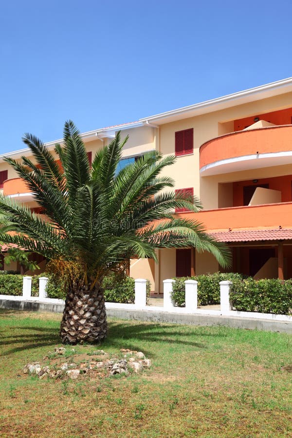 Big Palm Tree Growing Near To Building Stock Photo - Image of ...