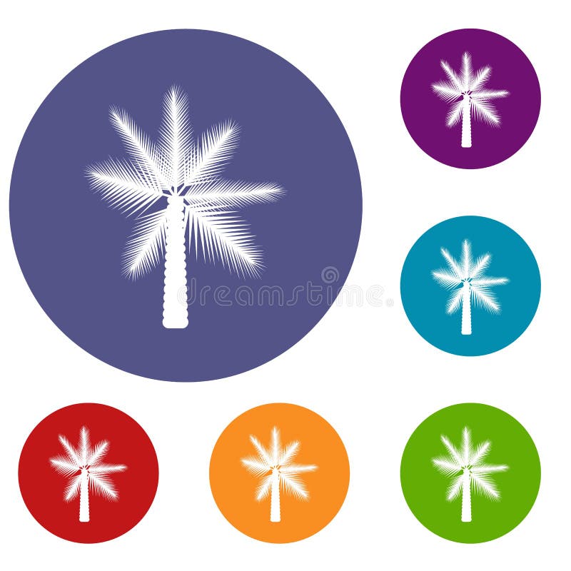 Big palm tree icons set stock vector. Illustration of design - 95782529