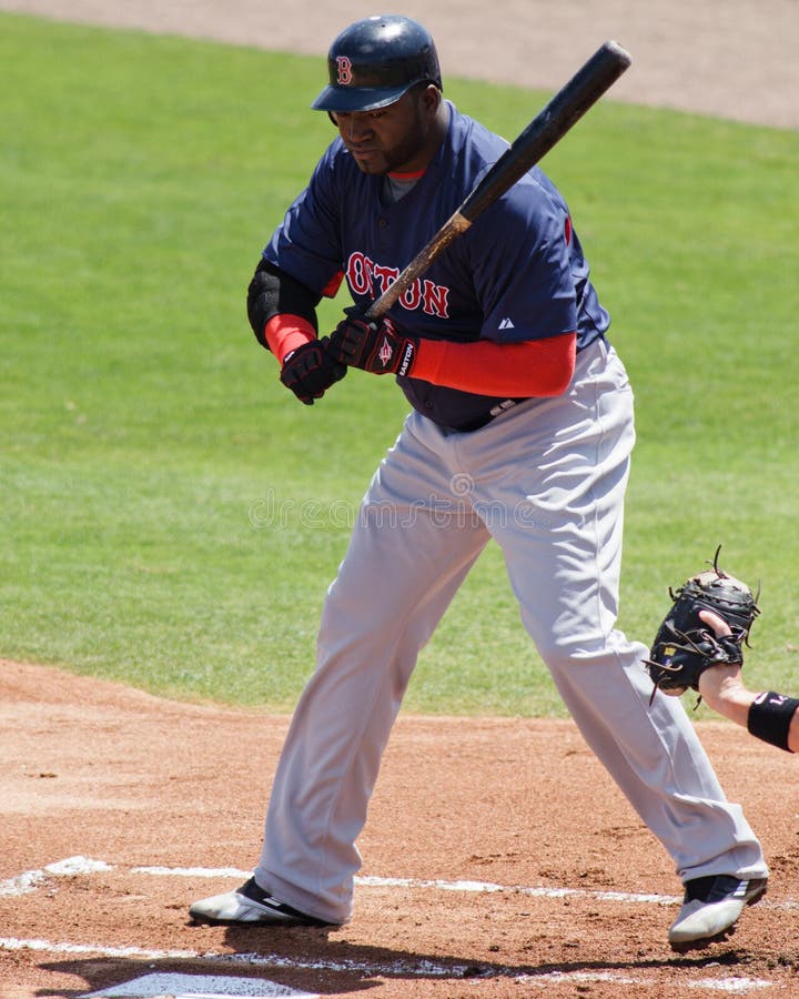 Big Papi editorial photo. Image of grapefruit, hitter - 18932451