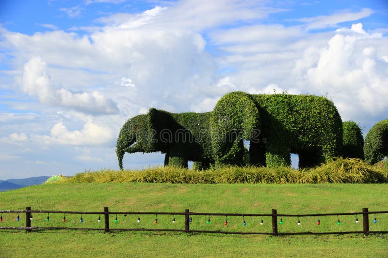 Big Park, it is Decorated with Lights and Trees Trimmed in the Shape of ...