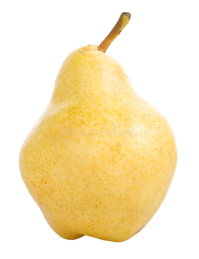 Big pear isolated stock image. Image of juicy, ripe, sweet - 10604861