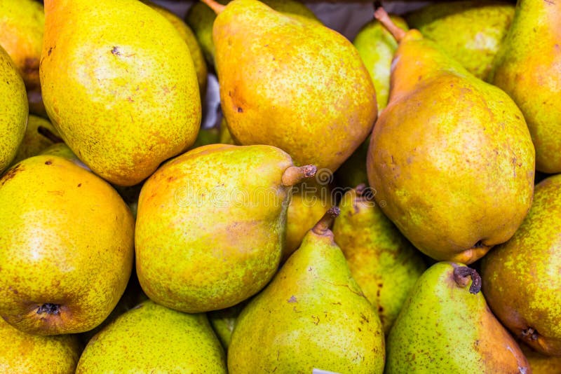 Big Pears in Pile Close-up. Fresh Fruit Macro Stock Photo - Image of ...