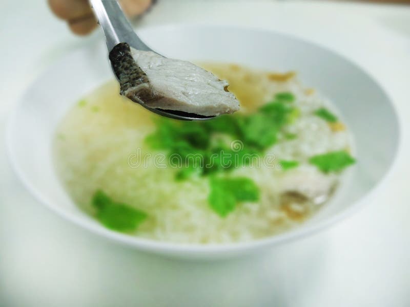 Big Piece of Fish with Soft Focus of Boiled Rice Stock Photo - Image of ...