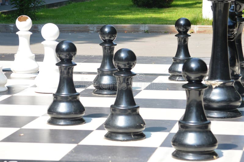 Large chess pieces stock photo. Image of king, intelligence - 250991582