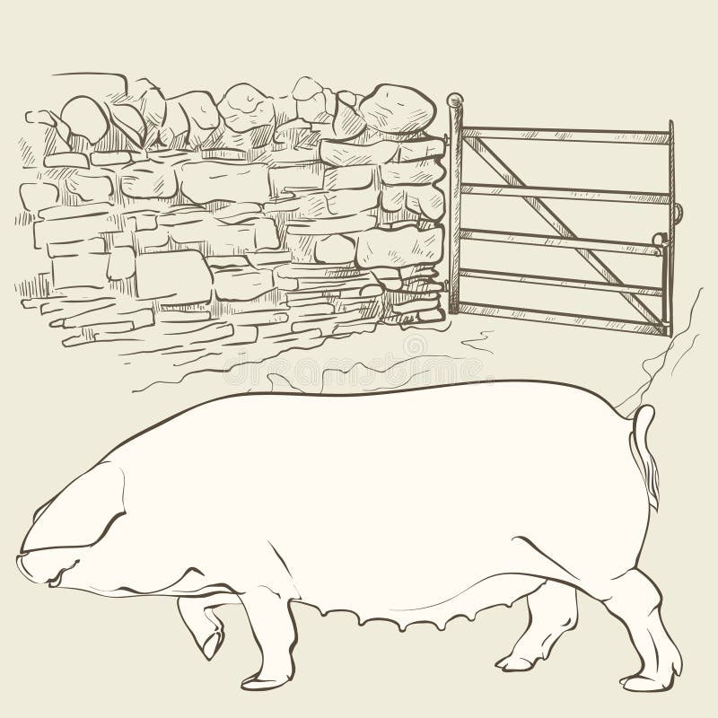 Big pig at gate. stock vector. Illustration of drawing - 81045843