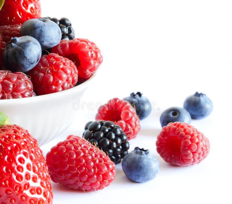 Forest fruits - berries stock photo. Image of black, texture - 1051872