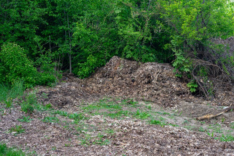 229 Big Compost Pile Stock Photos - Free & Royalty-Free Stock Photos ...