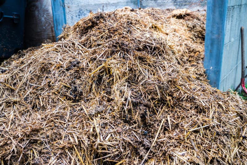 Horse Manure Pellets Fertilizer Isolated on White Background Stock ...