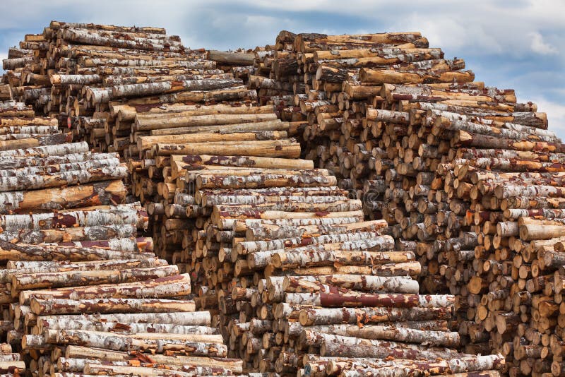 Big pile of logs stock image. Image of firewood, group - 29790953