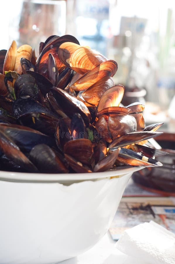 Big pile of mussel shells stock image. Image of bowl - 26567715
